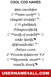 Cool & Funny Call of Duty Names For Pro Players, Boys and Girls