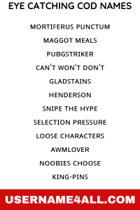 Cool & Funny Call of Duty Names For Pro Players, Boys and Girls