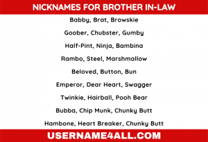 404+ Best Stylish & Funny Nicknames For Brother To Call Your Bro