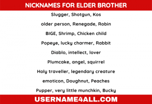 404+ Best Stylish & Funny Nicknames For Brother To Call Your Bro